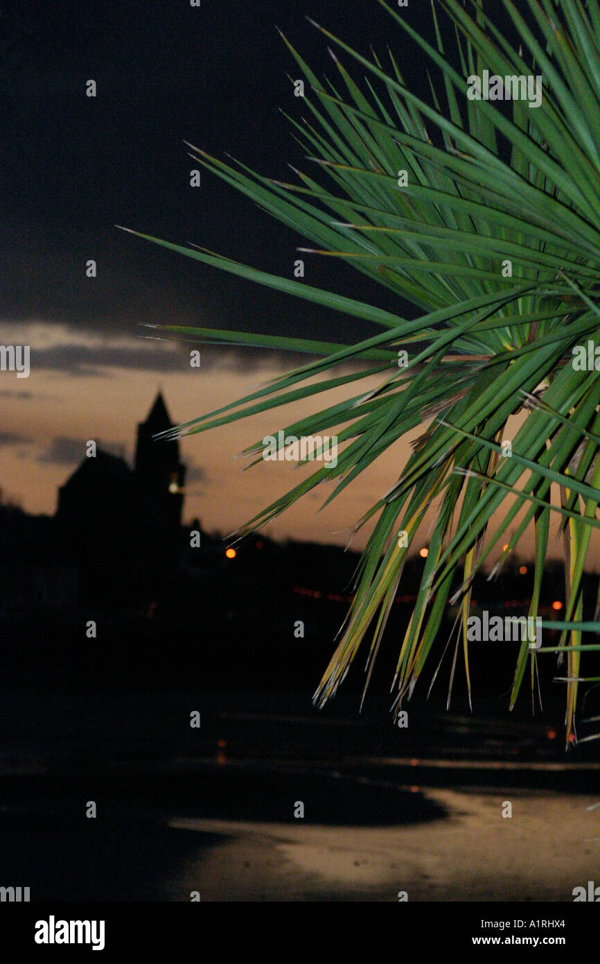 palm tree cornwall with church in background Stock Photo - Alamy