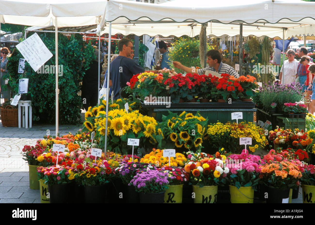 Florists In Munich Germany