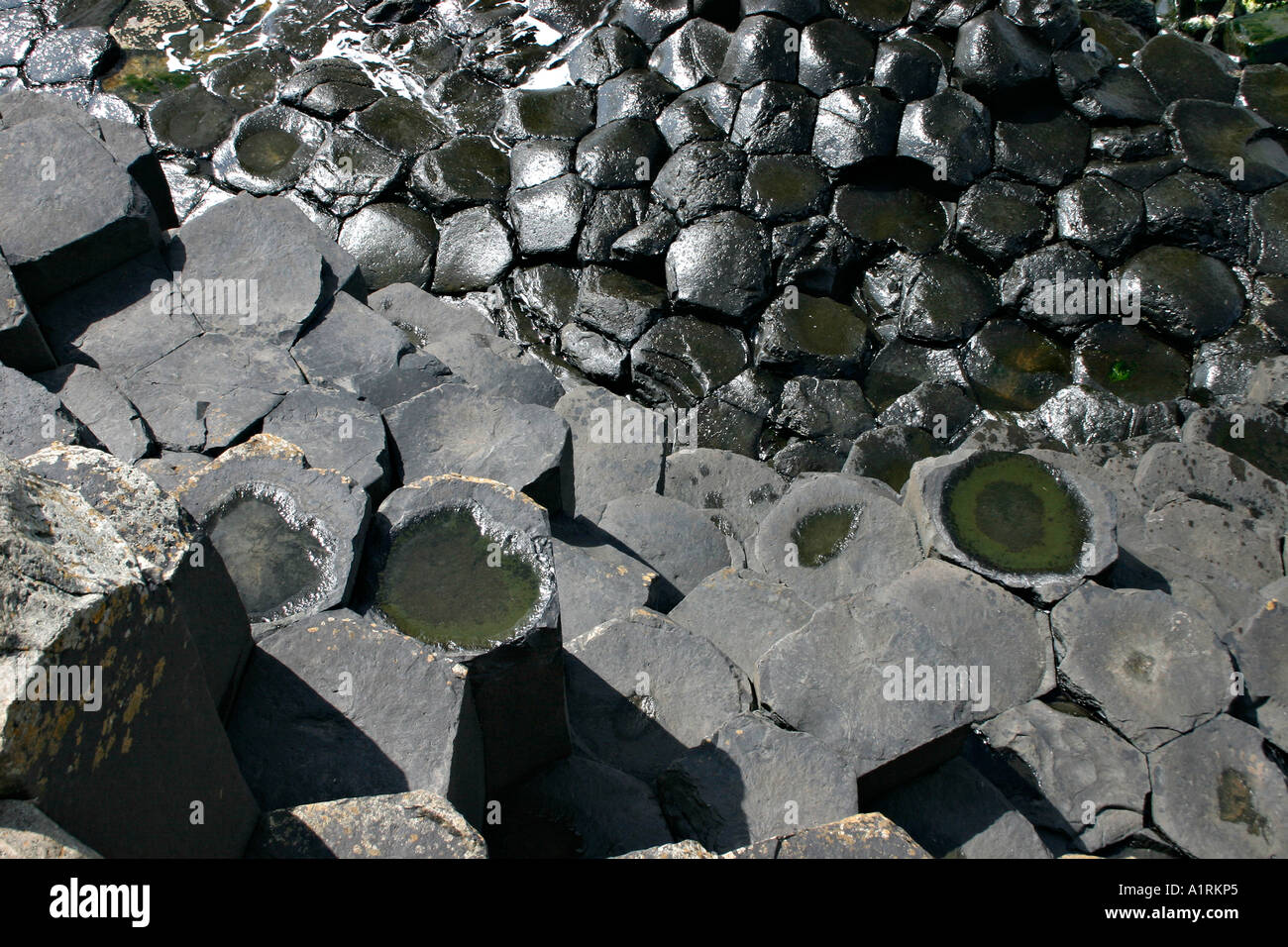 Hexagonal Steps: Black basalt pilers make a complex pattern in grey and ...