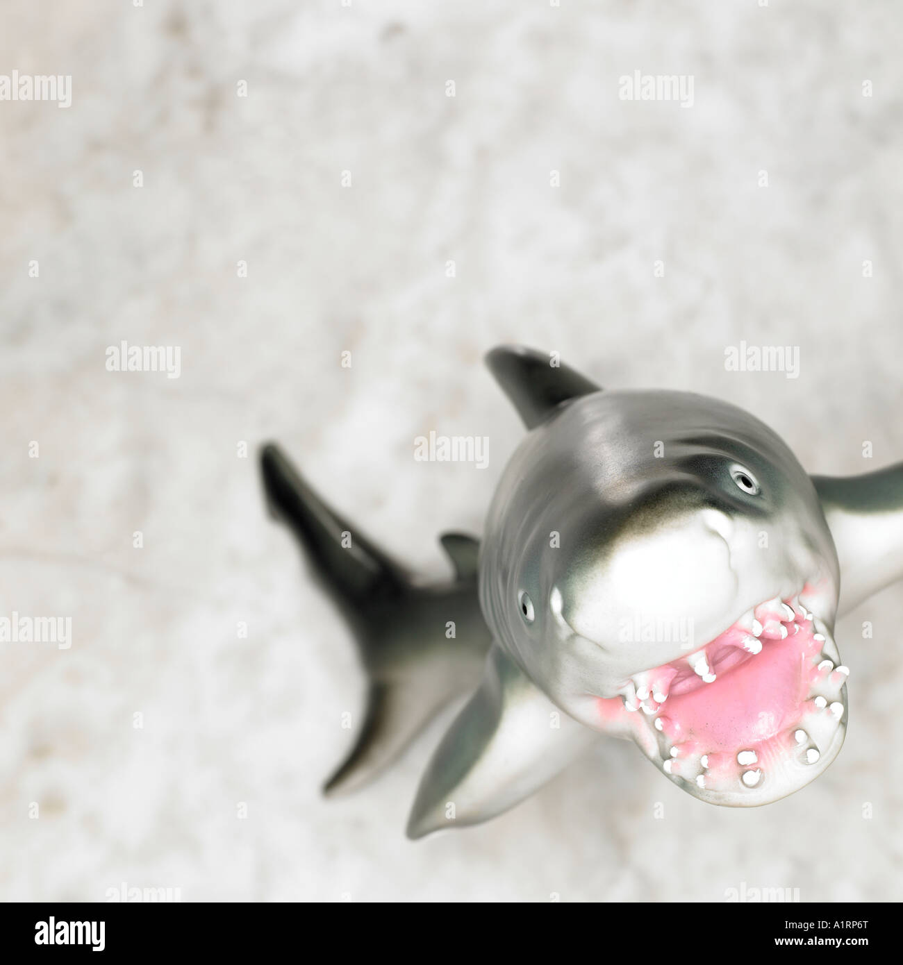 toy shark leaping towards the viewer Stock Photo - Alamy