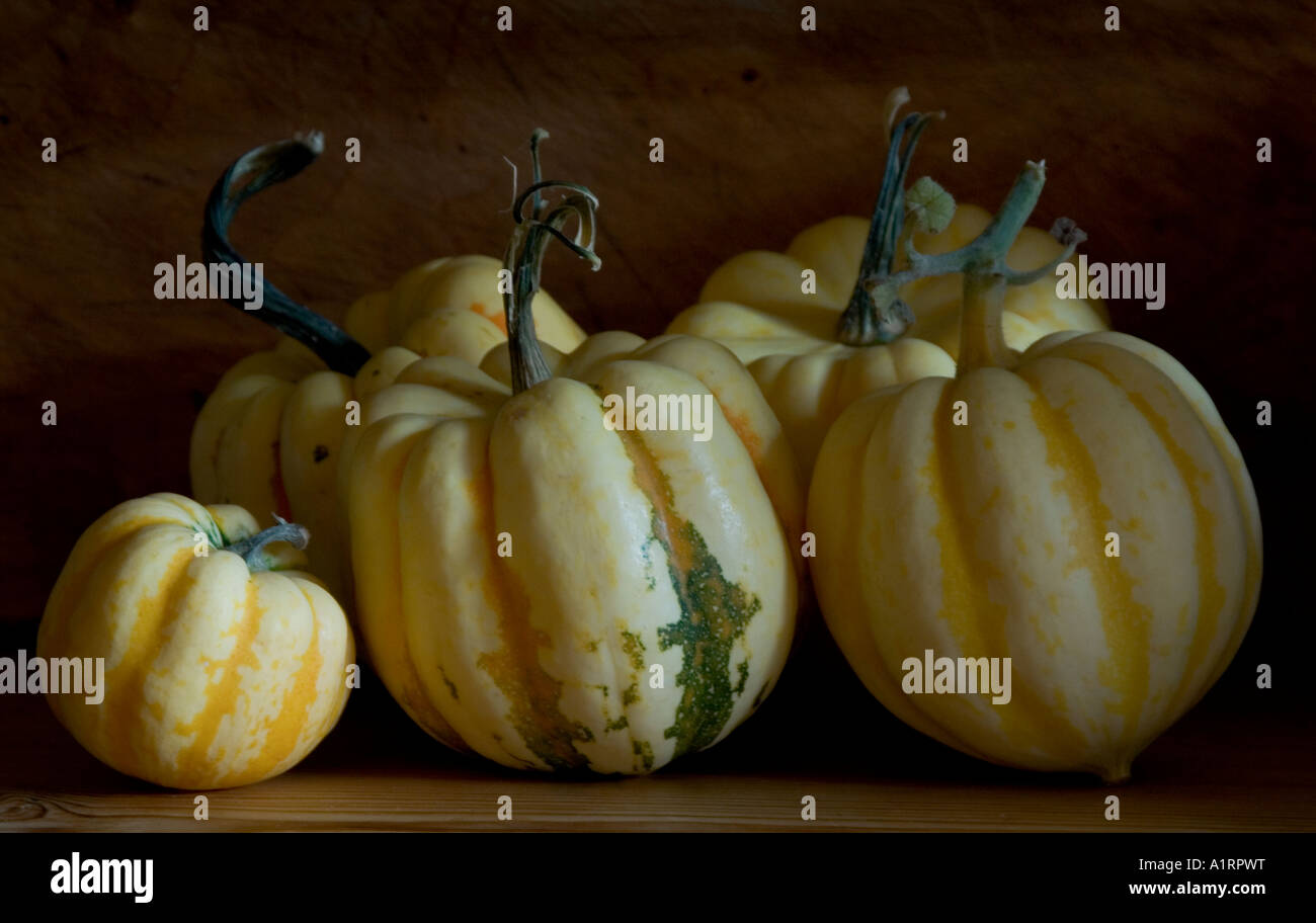 Dutchstyleofart hi-res stock photography and images - Alamy