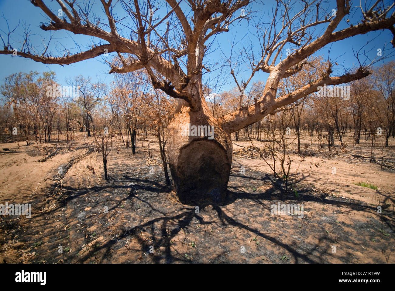 Water retention australia hi-res stock photography and images - Alamy