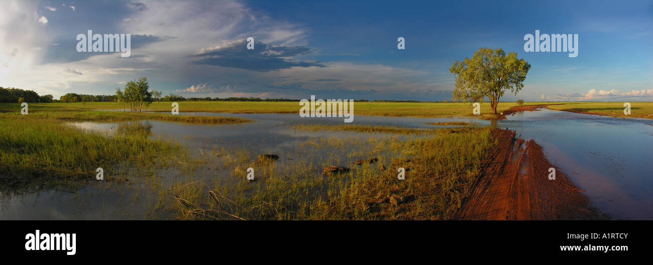 Late afternoon on Camballin flats, Kimberley, Western Australia Stock ...