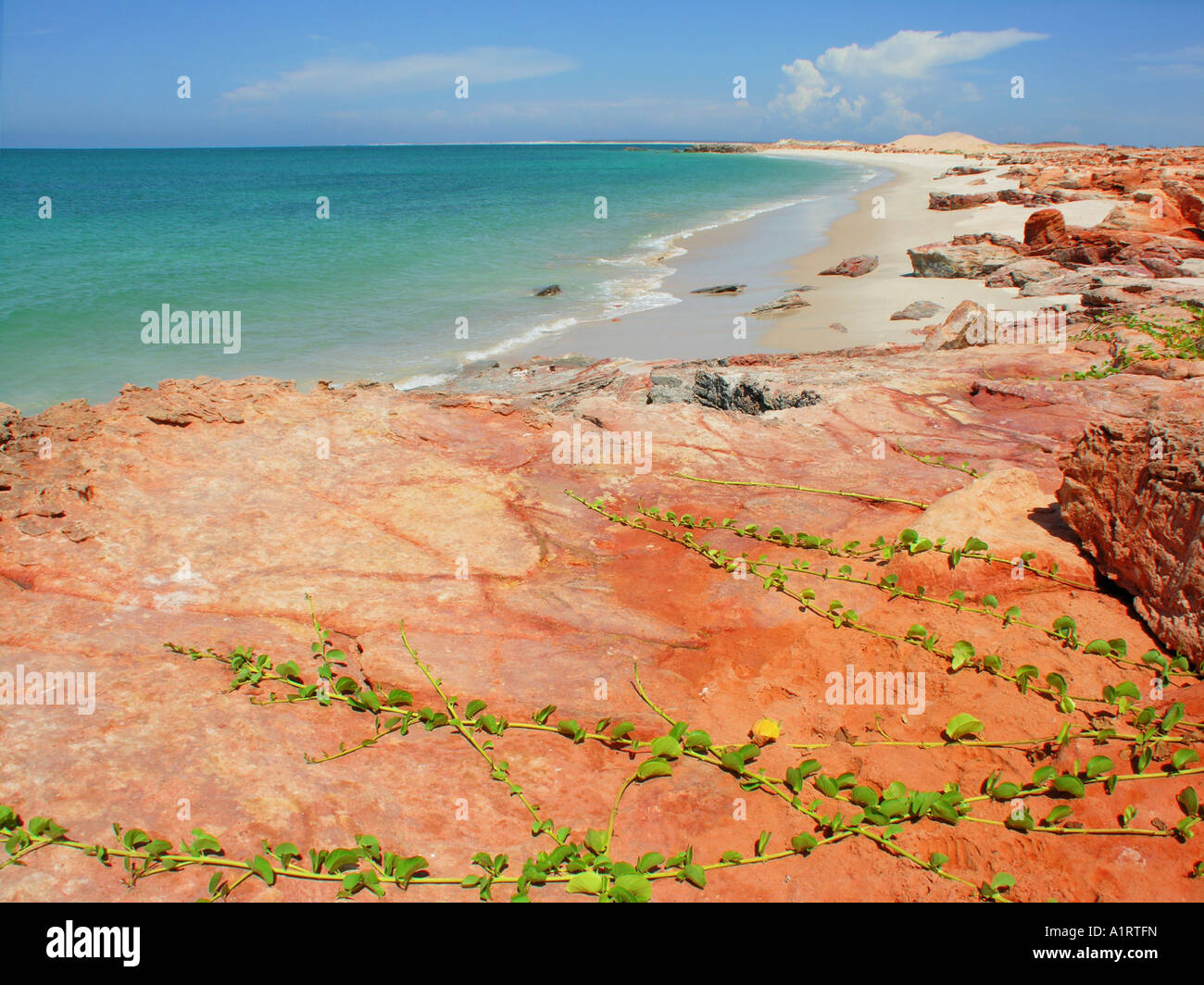 Beach at Cape Leveque, Dampier Peninsula, Kimberley, Western Australia ...
