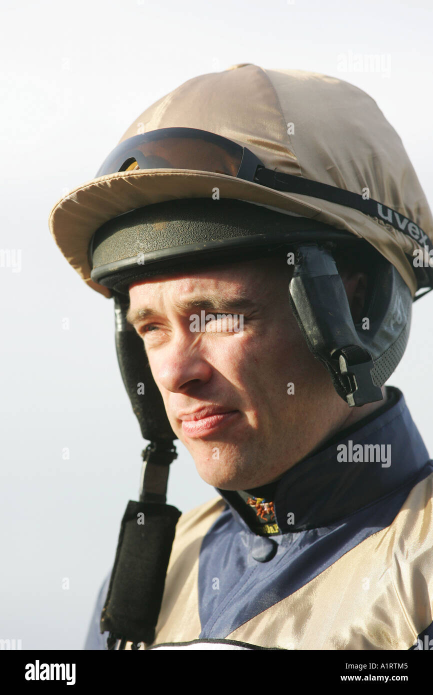 Horseracing animals hard hat hi-res stock photography and images - Alamy