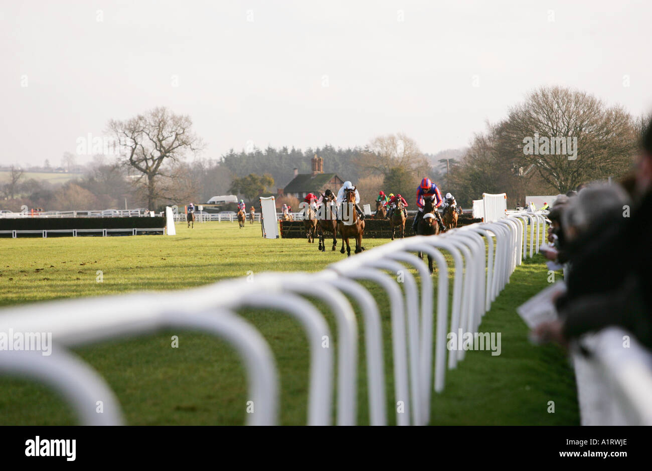 Horse racing fans uk hi-res stock photography and images - Alamy