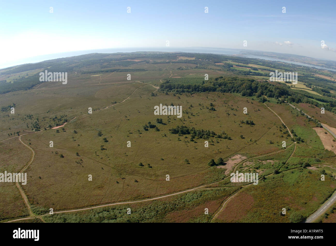 Woodbury Common Exeter Devon UK Stock Photo - Alamy