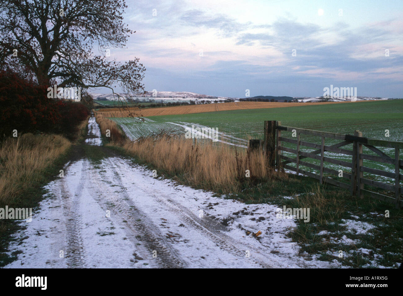 Snowy path near Rothbury, Northumberland, UK Stock Photo - Alamy