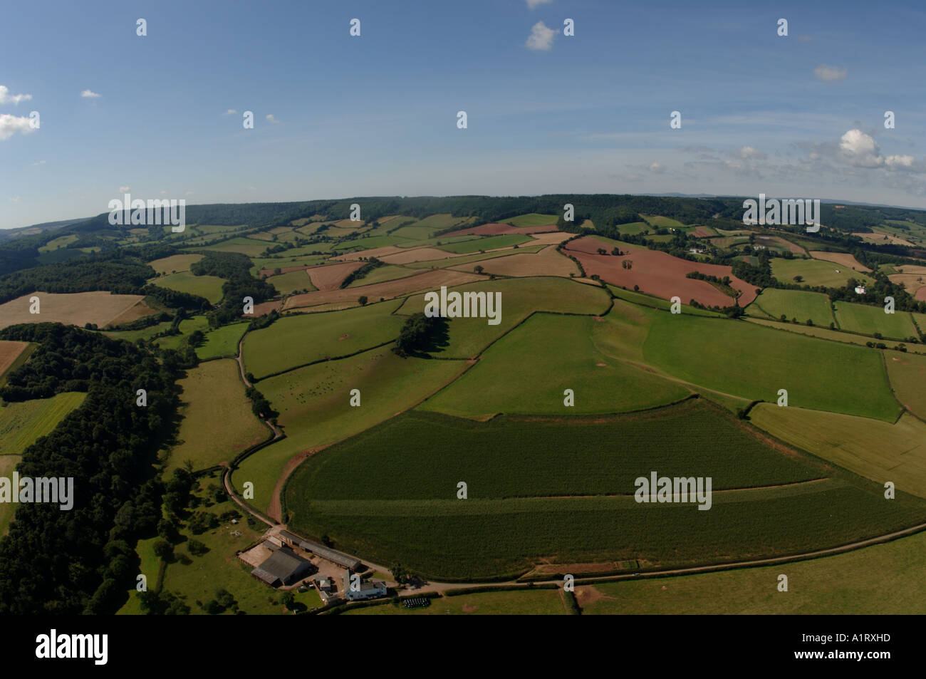 Flying over South Devon fields and crops and hedges Stock Photo - Alamy