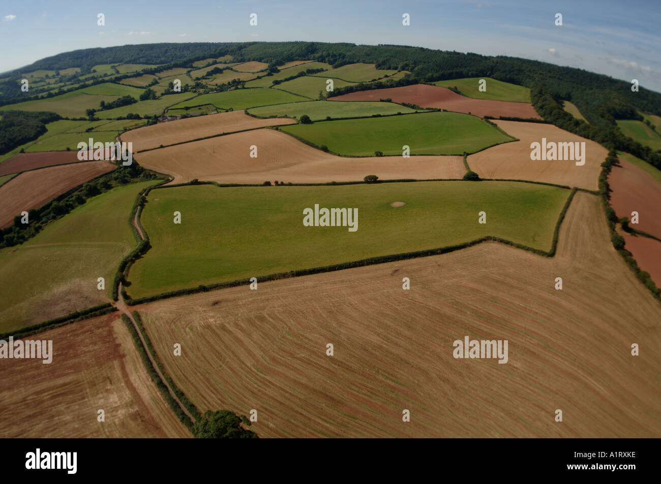 Flying over South Devon fields and crops and hedges Stock Photo - Alamy