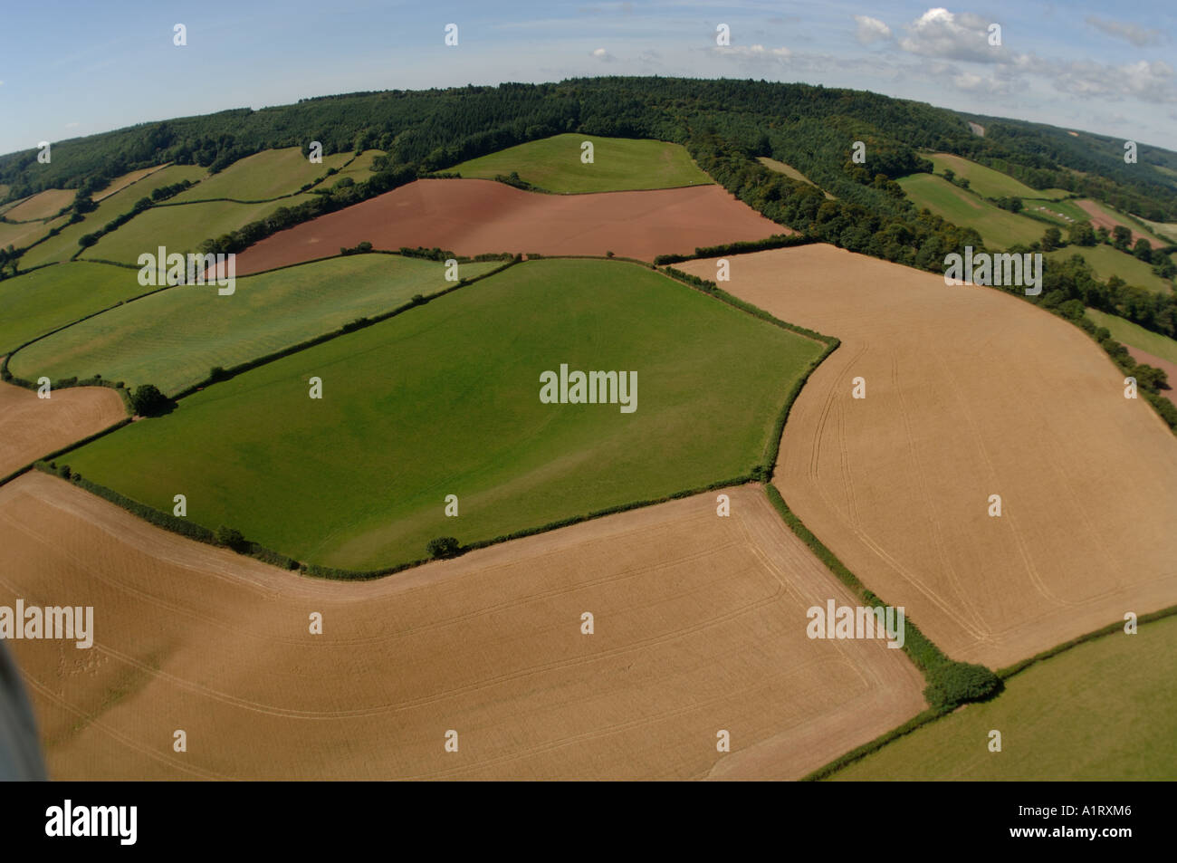 Devon hedges aerial hi-res stock photography and images - Alamy