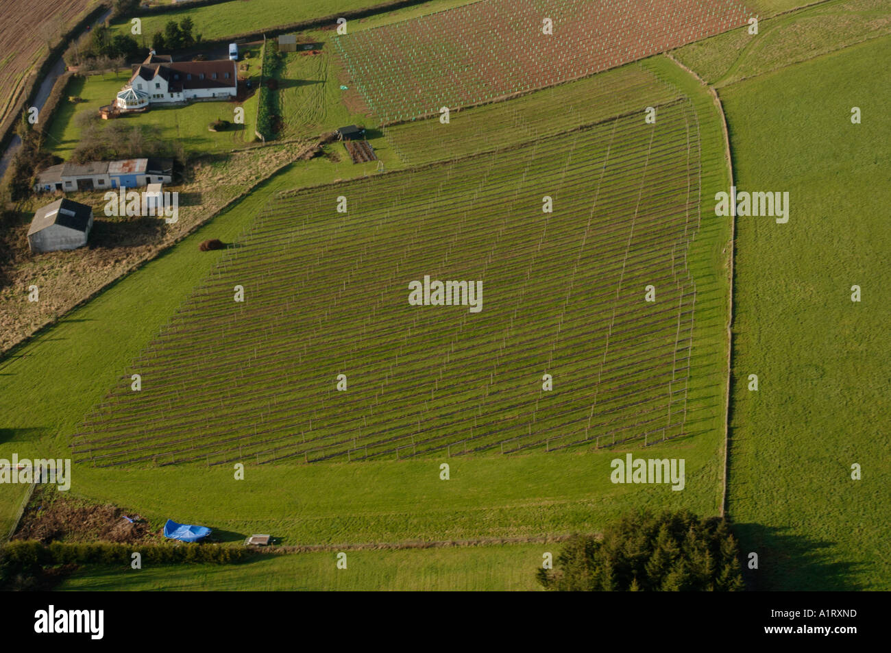 Flying over farm land crops hi-res stock photography and images - Alamy