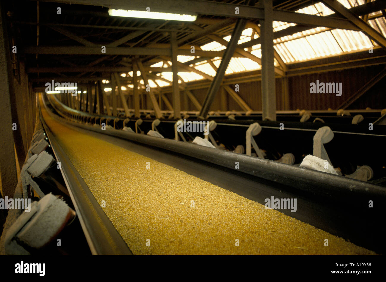 M processing hi-res stock photography and images - Alamy