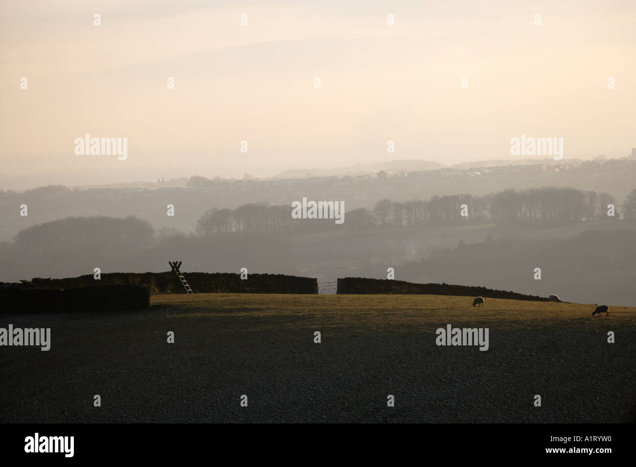 upland grassland with drystone wall Stock Photo - Alamy