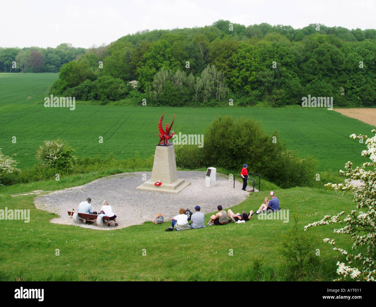 Memorial to the 38th Welsh Division overlooking Mametz Wood Stock Photo ...