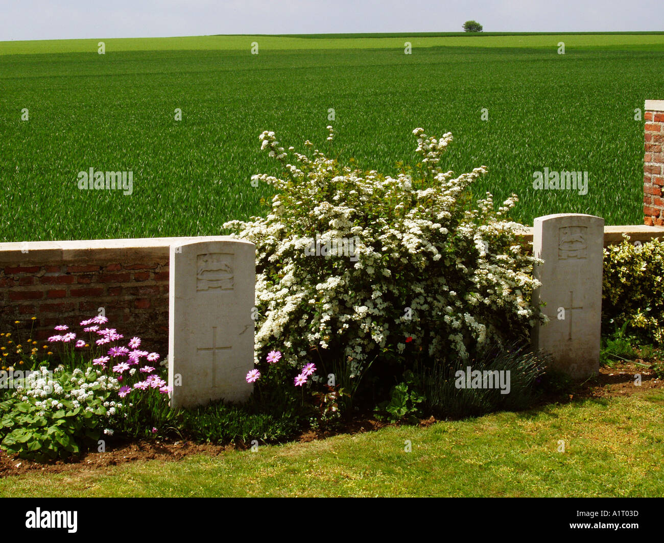 Fricourt cemetery hi-res stock photography and images - Alamy