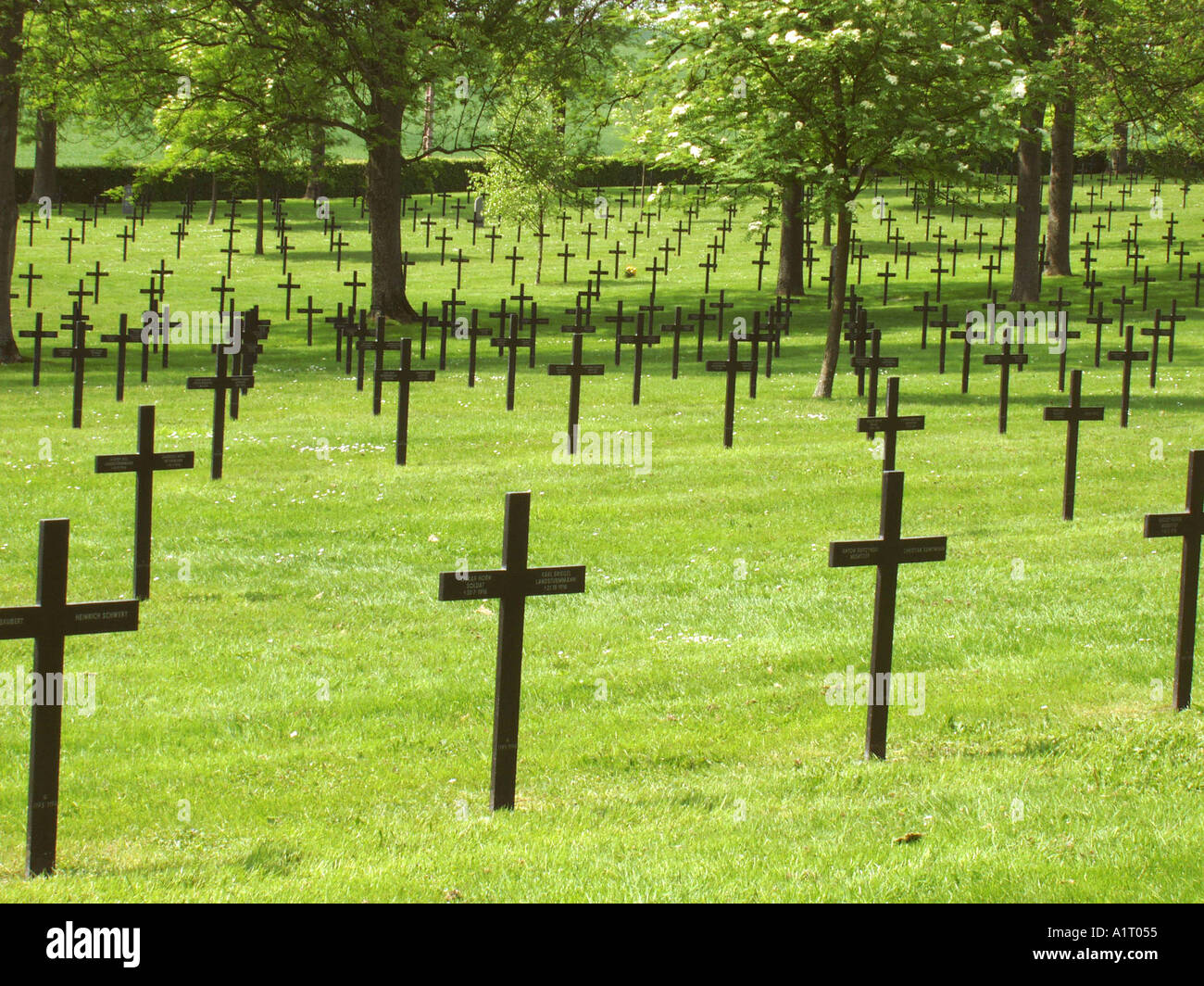 Graves marked with crosses hi-res stock photography and images - Alamy
