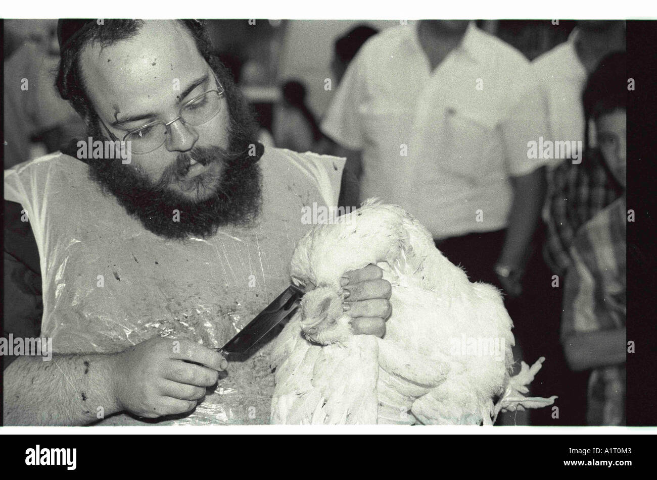 Slaughtering a chicken during The Kaparot prayer Mea Shearim Jerusalem ...