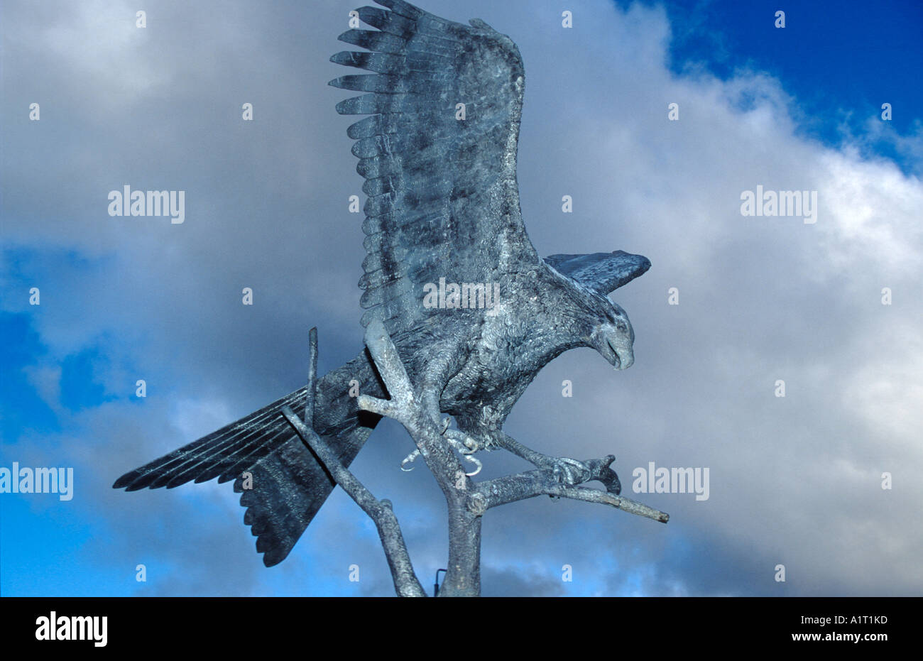 Llanwrytd hi-res stock photography and images - Alamy