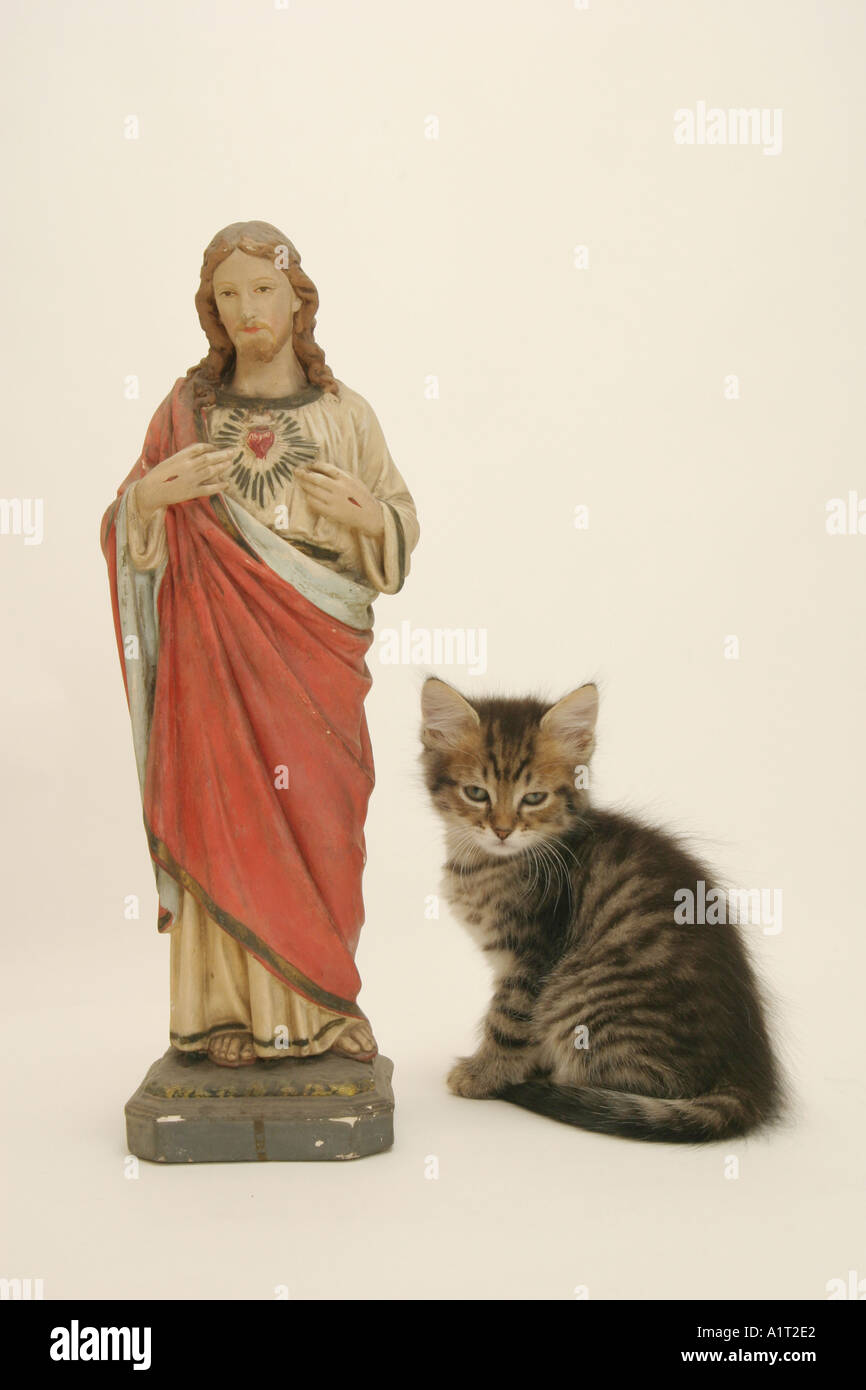 kitten with Jesus Stock Photo - Alamy