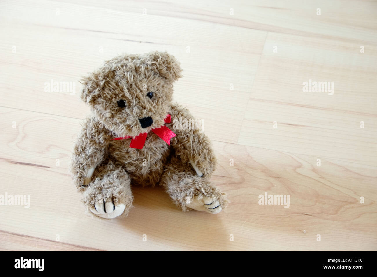 Thing teddy hi-res stock photography and images - Alamy