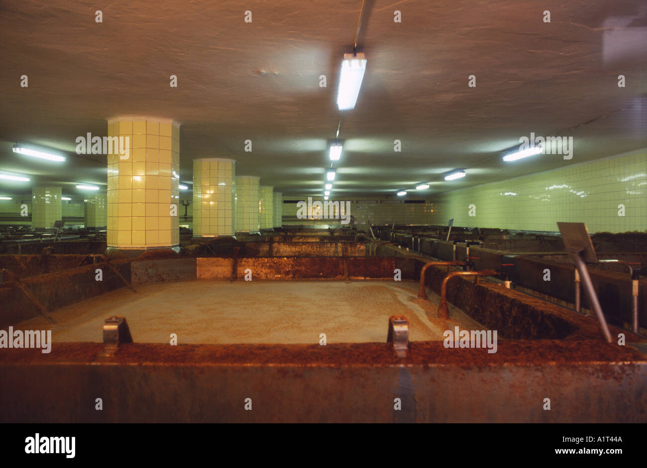 Vats of beer hi-res stock photography and images - Alamy