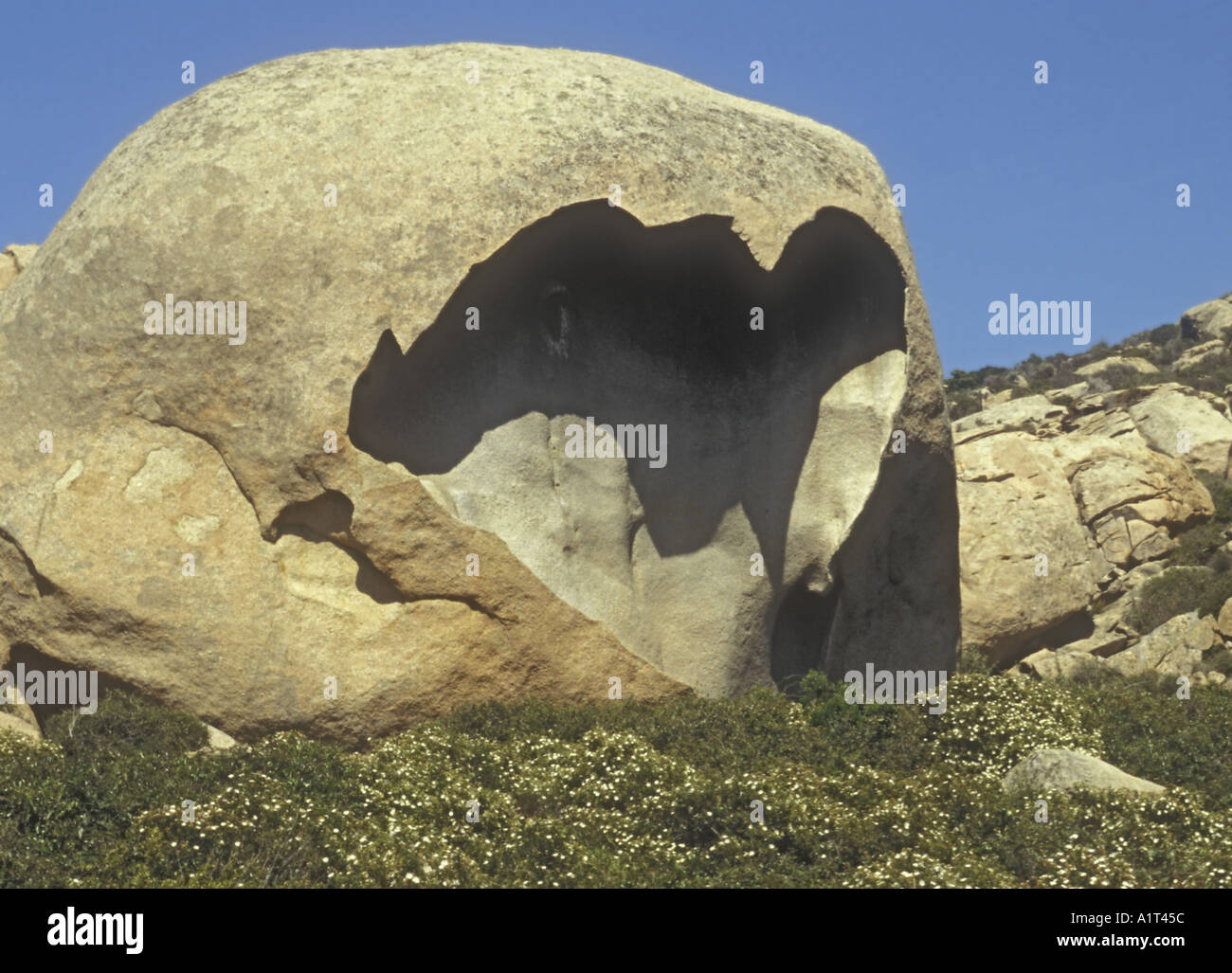 STRANGE SHAPE GRANITE WEATHERING Stock Photo - Alamy