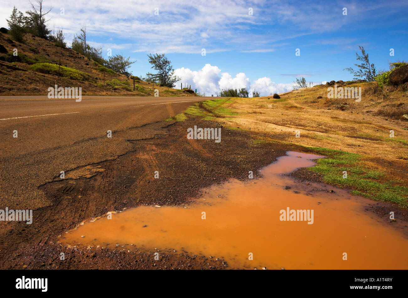 A puddle after a tropical rain on the side of Kahekili Highway (Rt 30 ...