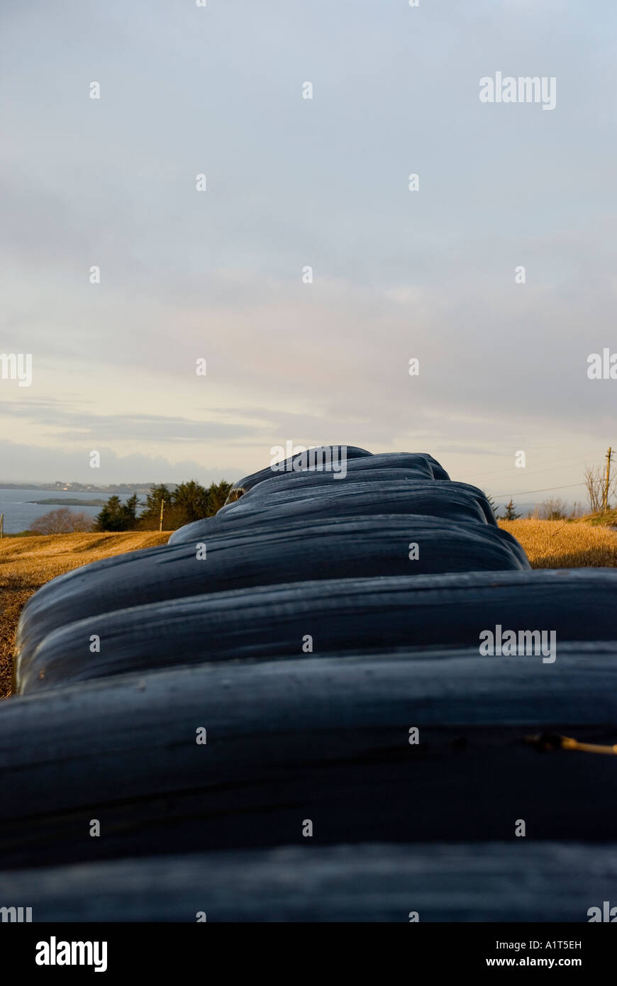 Field in the evening Stock Photo - Alamy