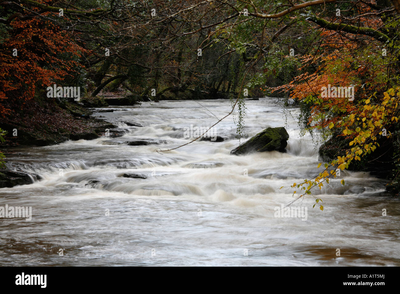 Welsh river hi-res stock photography and images - Alamy
