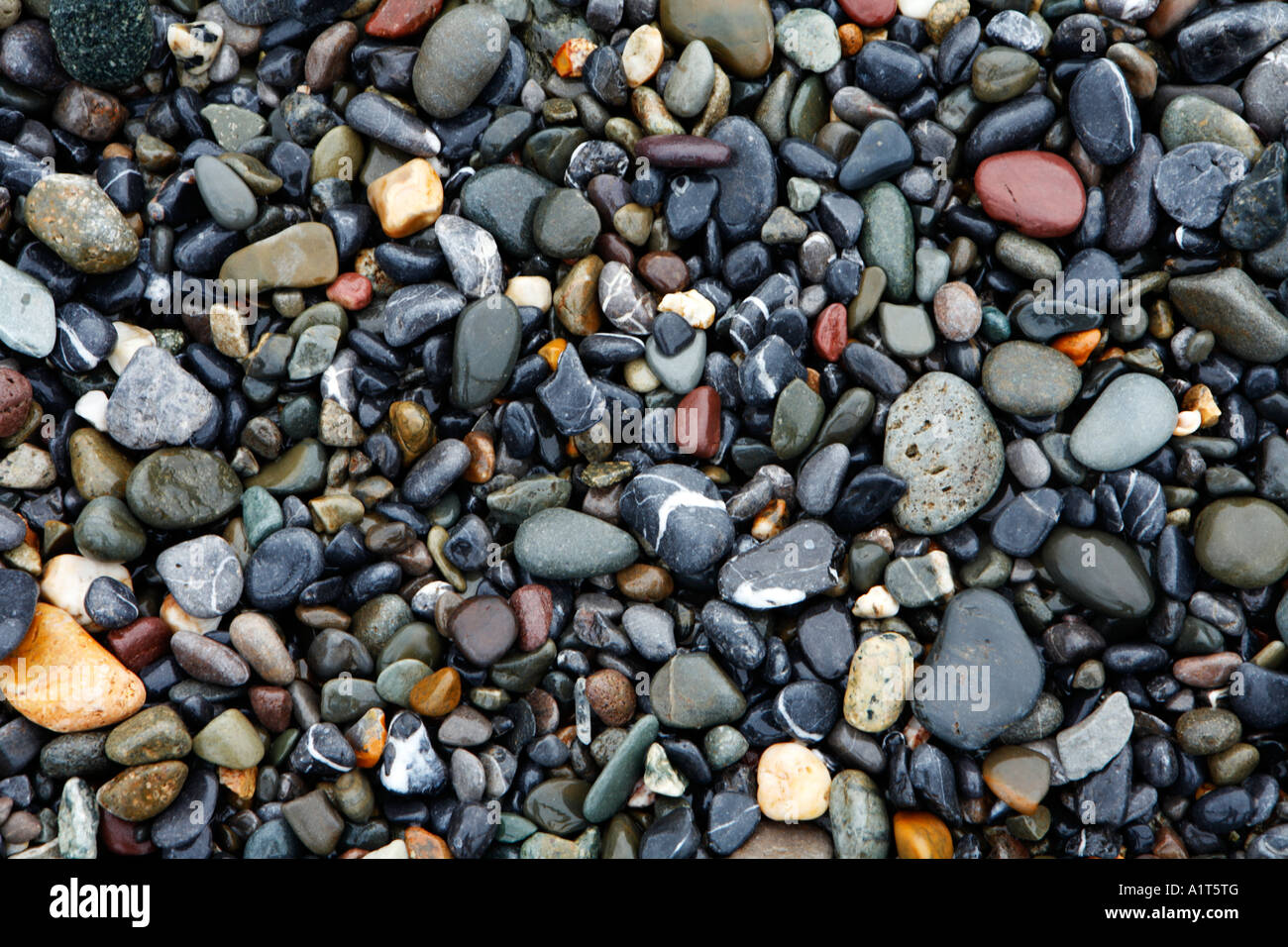 Pebbles on a beach Stock Photo - Alamy