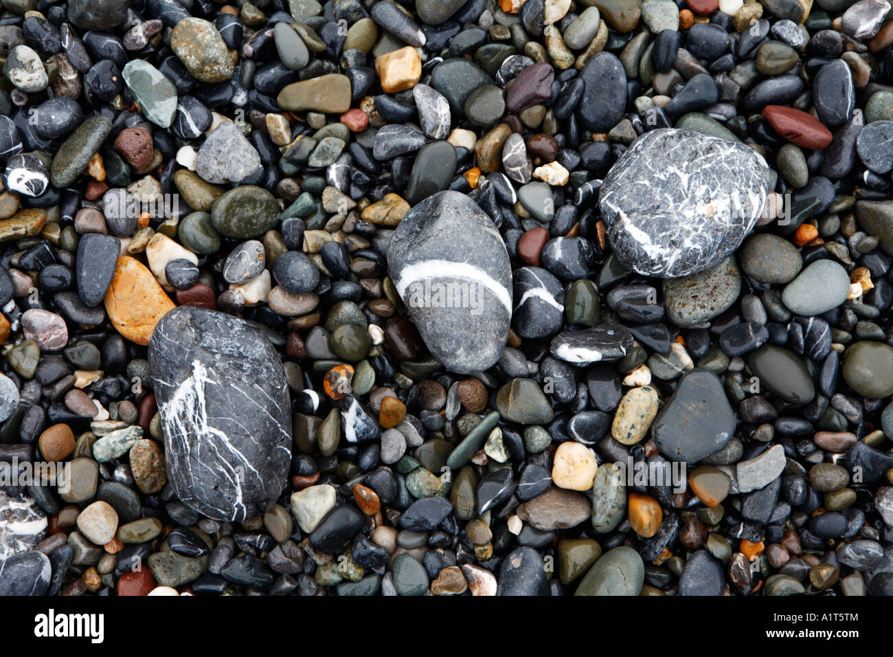 Pebbles on a beach Stock Photo - Alamy