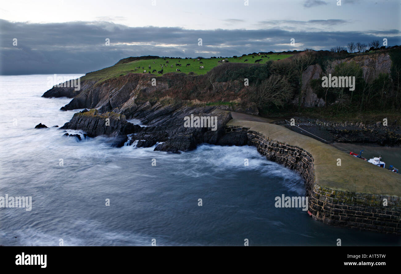 Stackpole Quay at dawn Stock Photo - Alamy