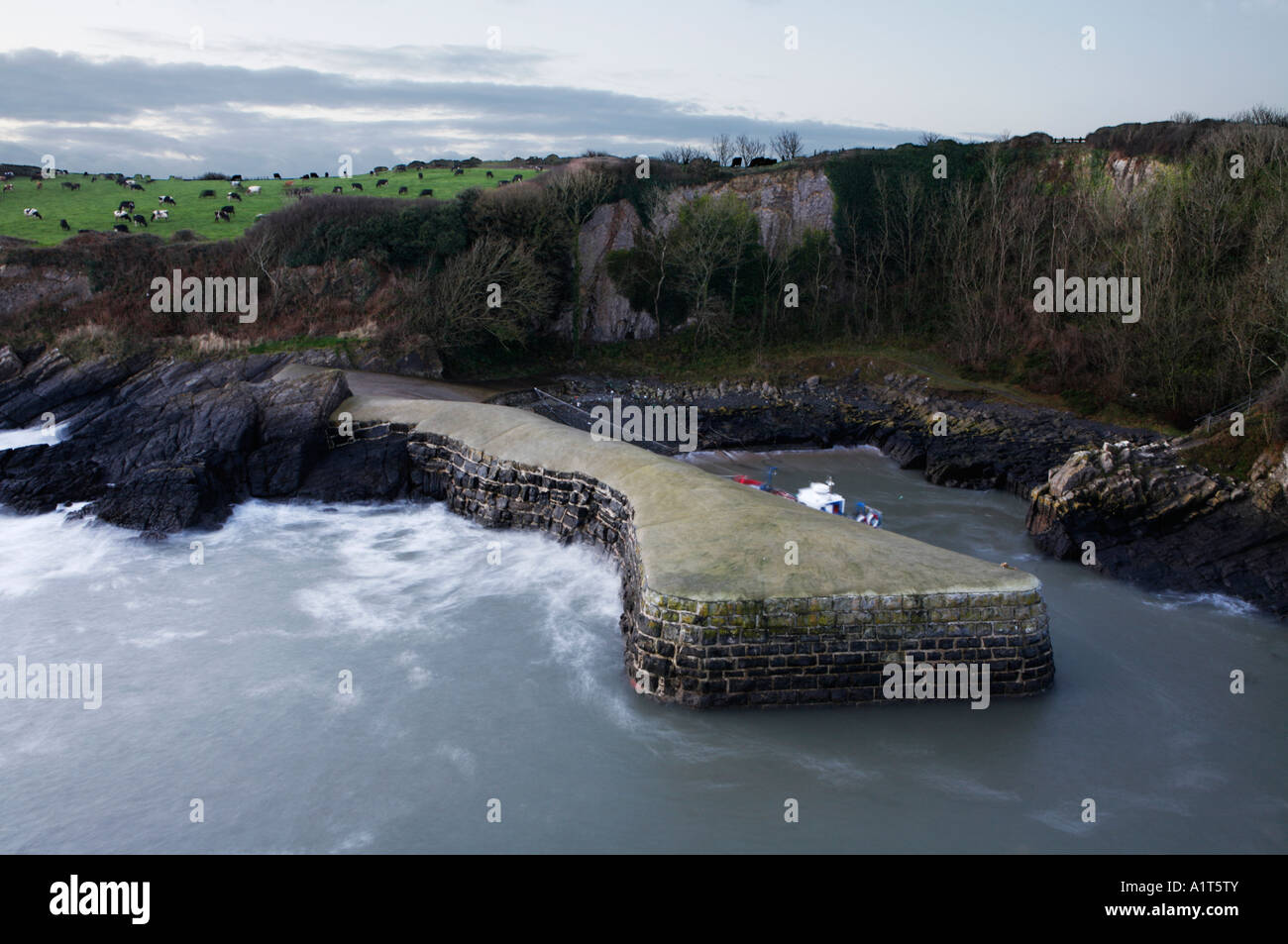 Stackpole Quay at dawn Stock Photo - Alamy