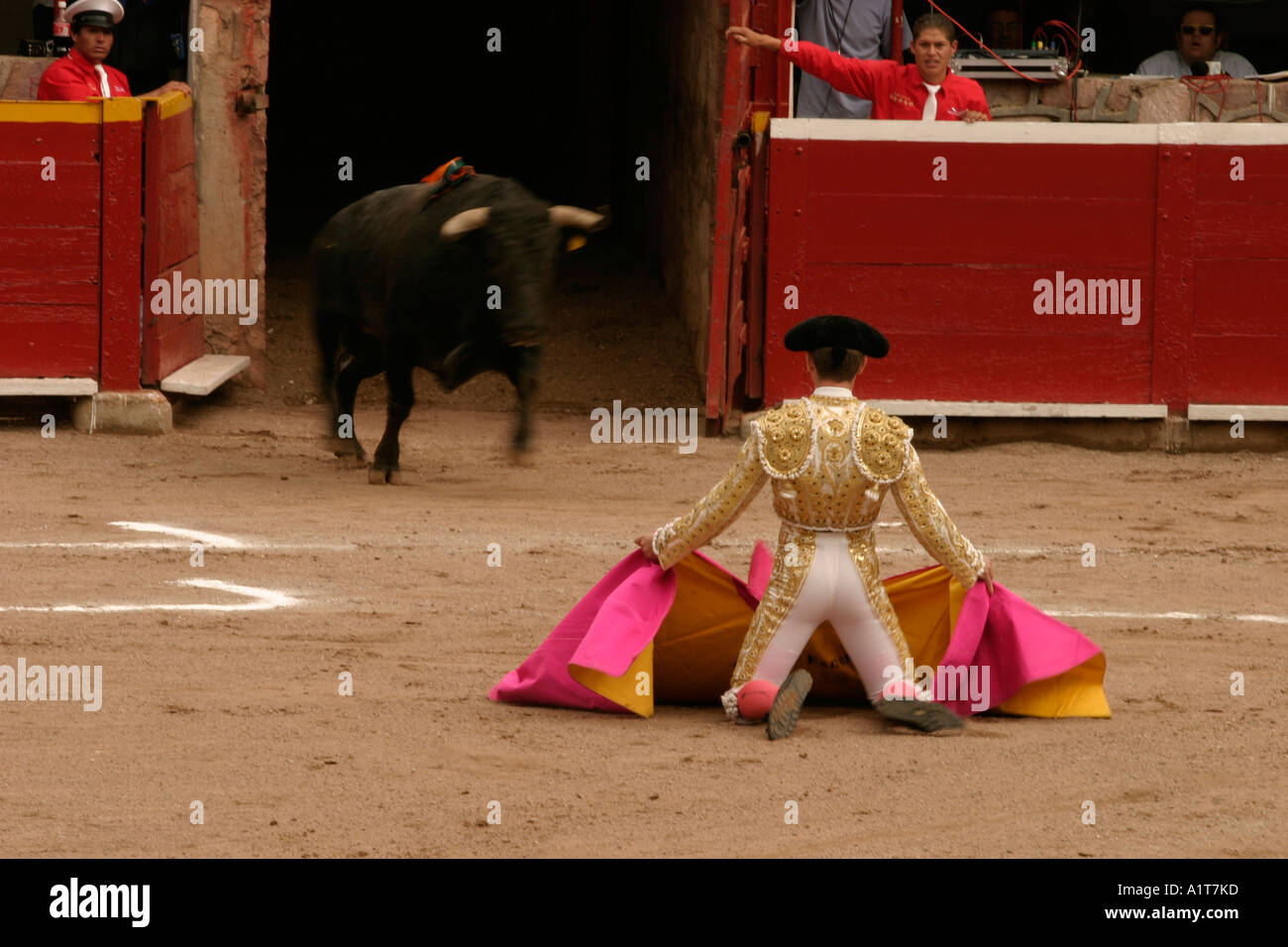 a matador greets a bull as it enters the arena Stock Photo - Alamy