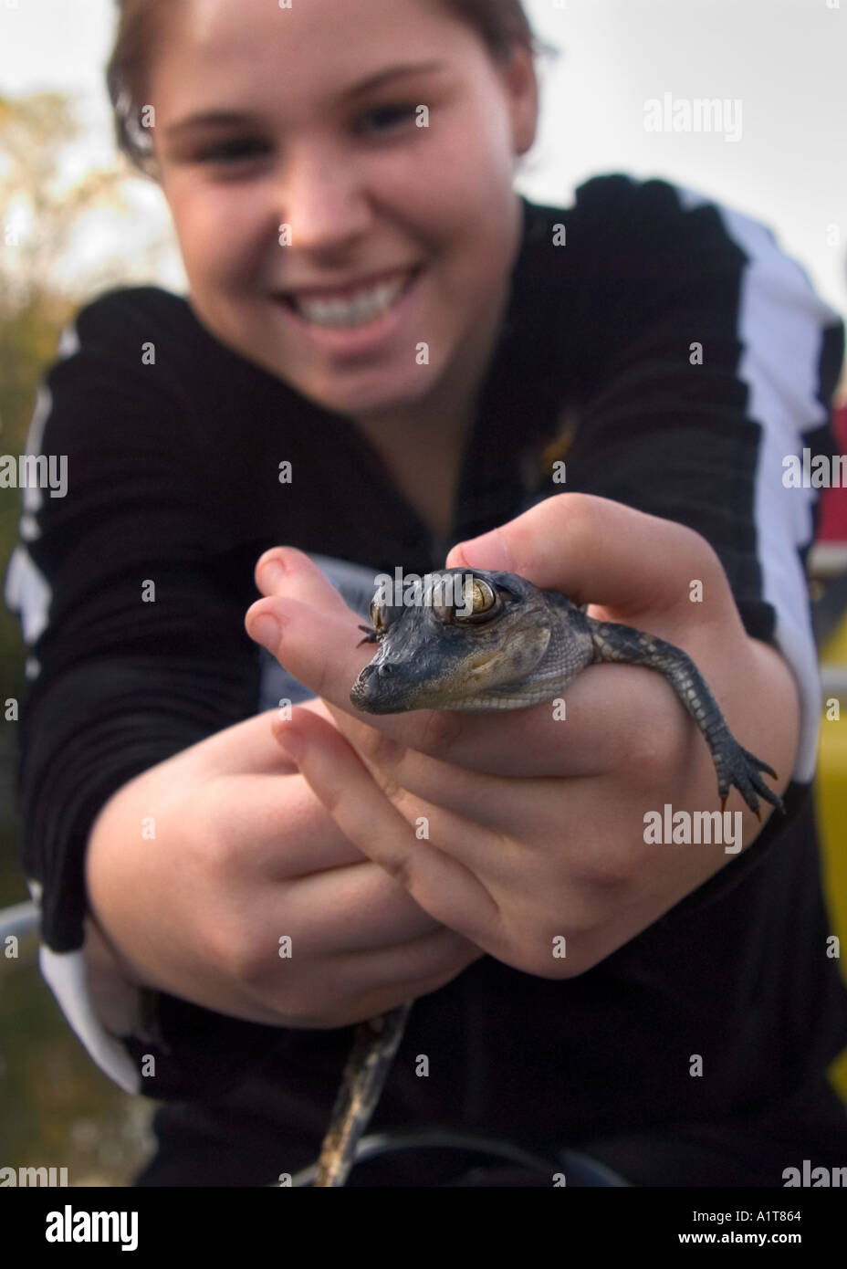 A smiling Caucasian teenage girl holding a baby alligator toward the ...