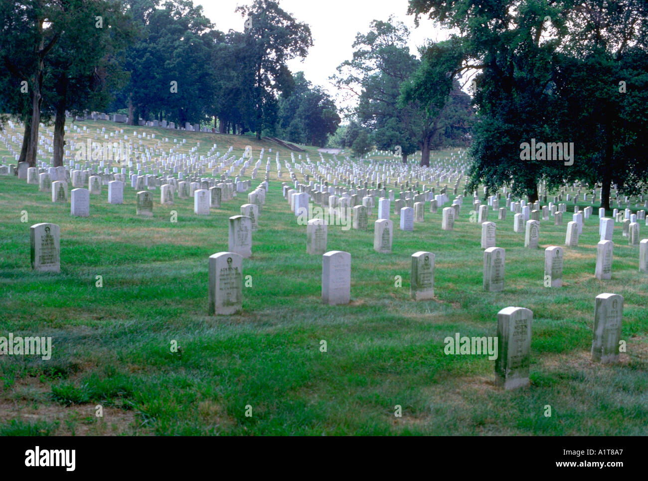 View graves arlington national cemetery hi-res stock photography and ...