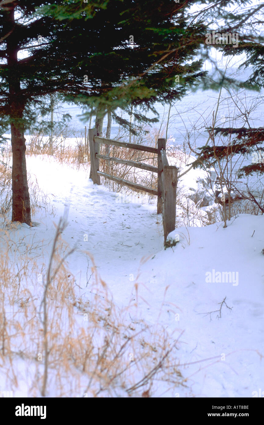Snowy winter hiking trail at Lutsen Mountain Ski Resort. Lutsen ...
