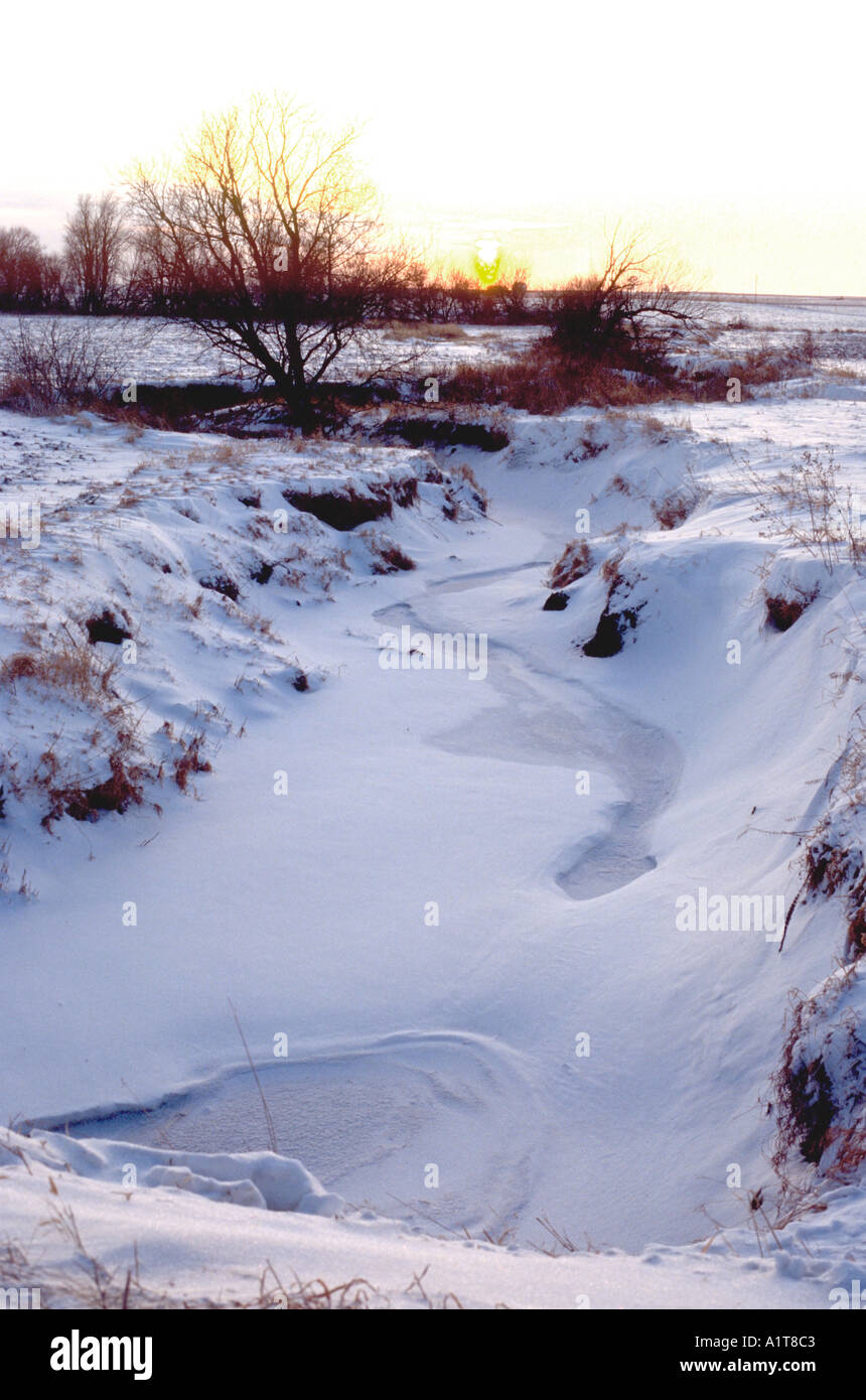 Sc01 hi-res stock photography and images - Alamy