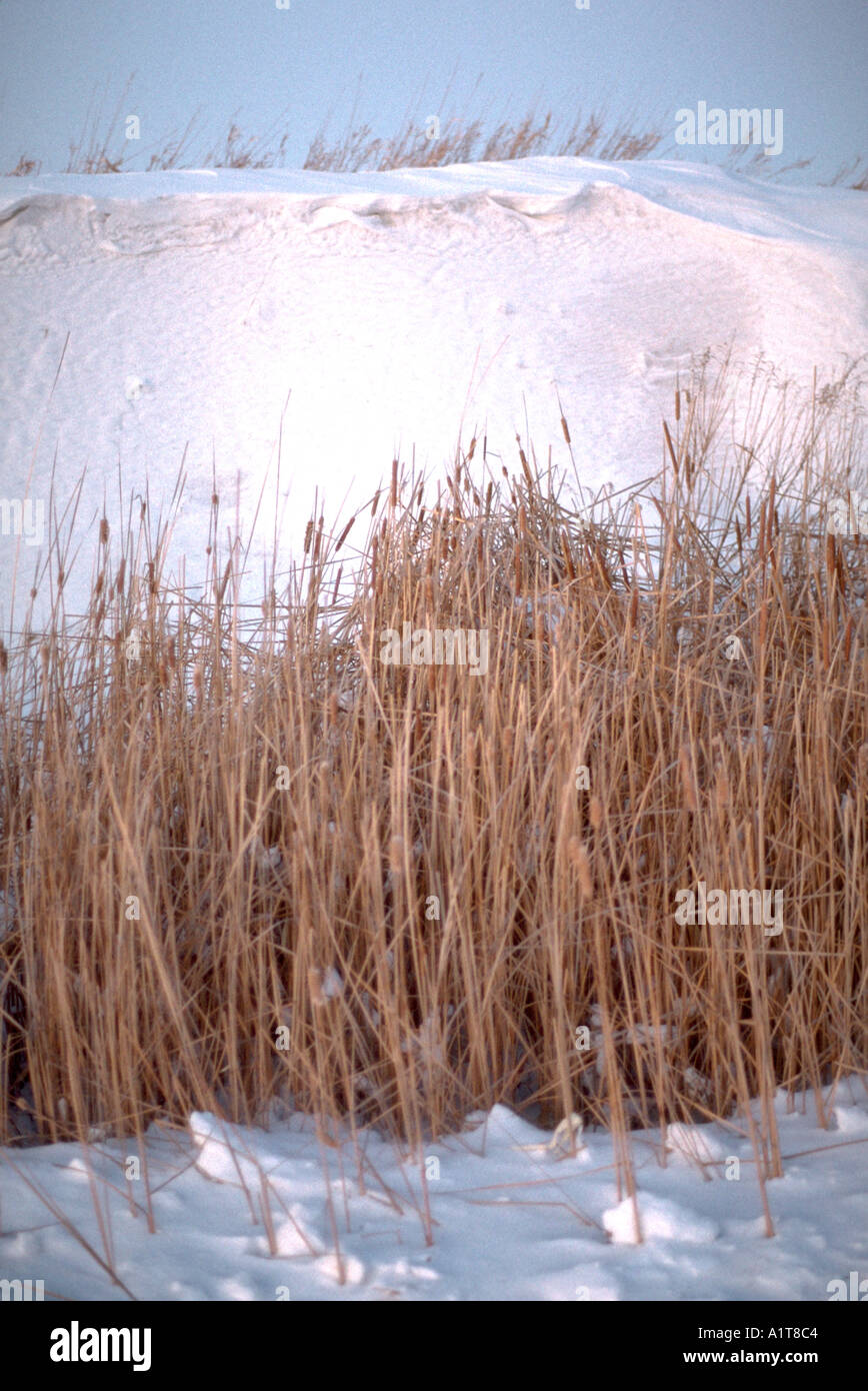 Ia winter weather hi-res stock photography and images - Alamy