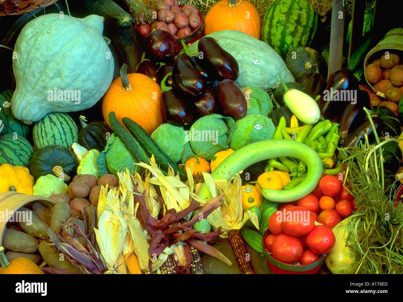 Cucumbers paul hi-res stock photography and images - Alamy
