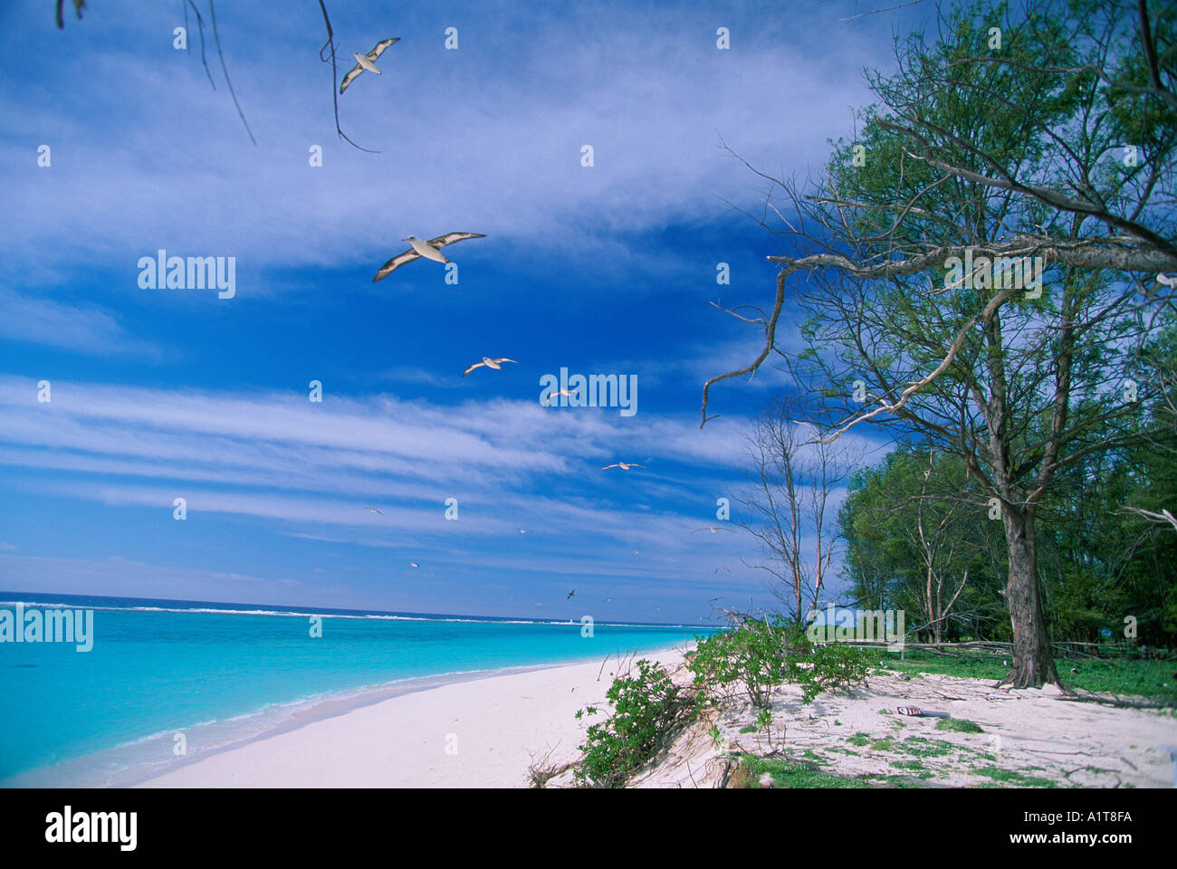 Hawaiian island chain hi-res stock photography and images - Alamy