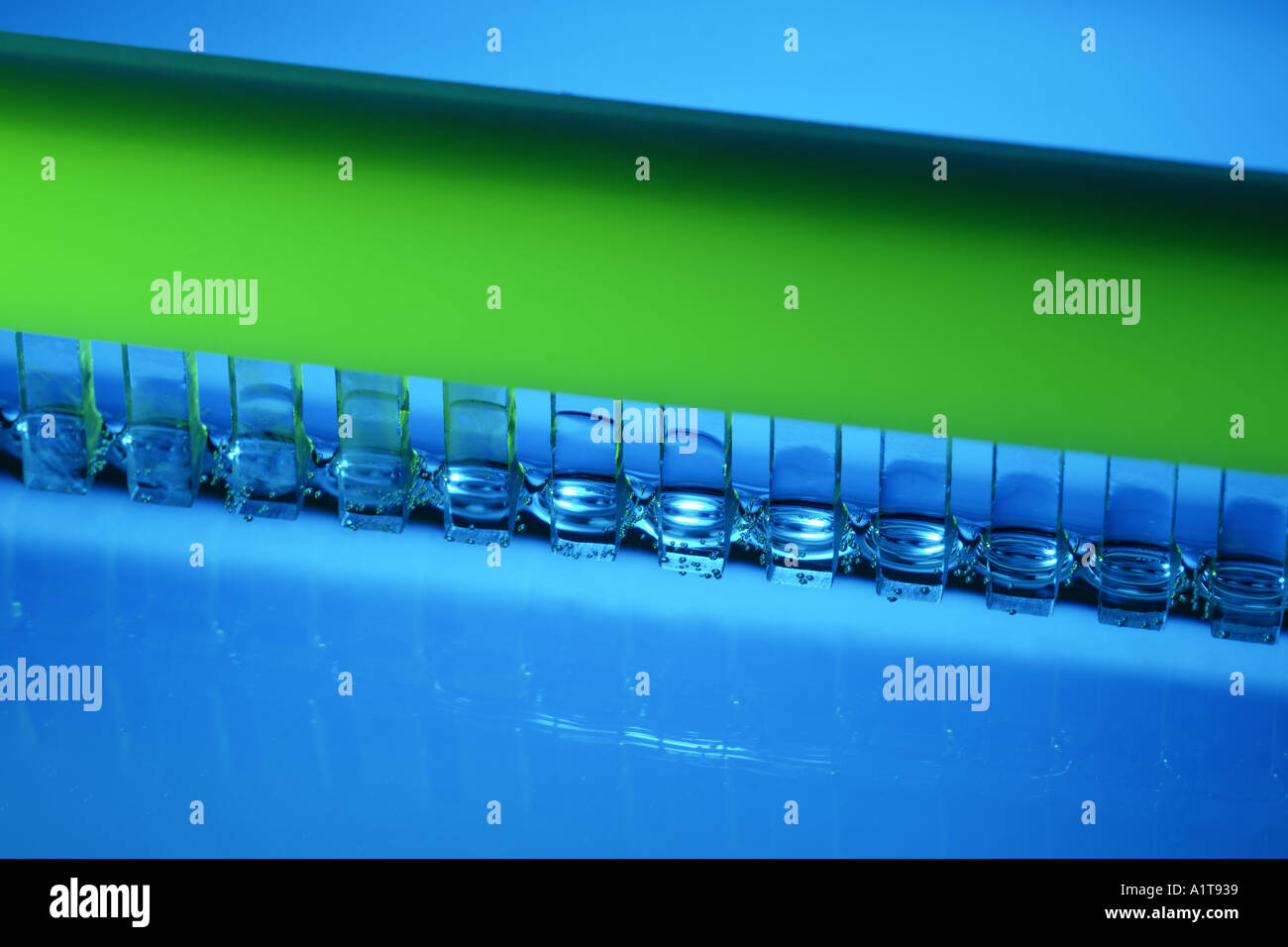 Dna gel hi-res stock photography and images - Alamy