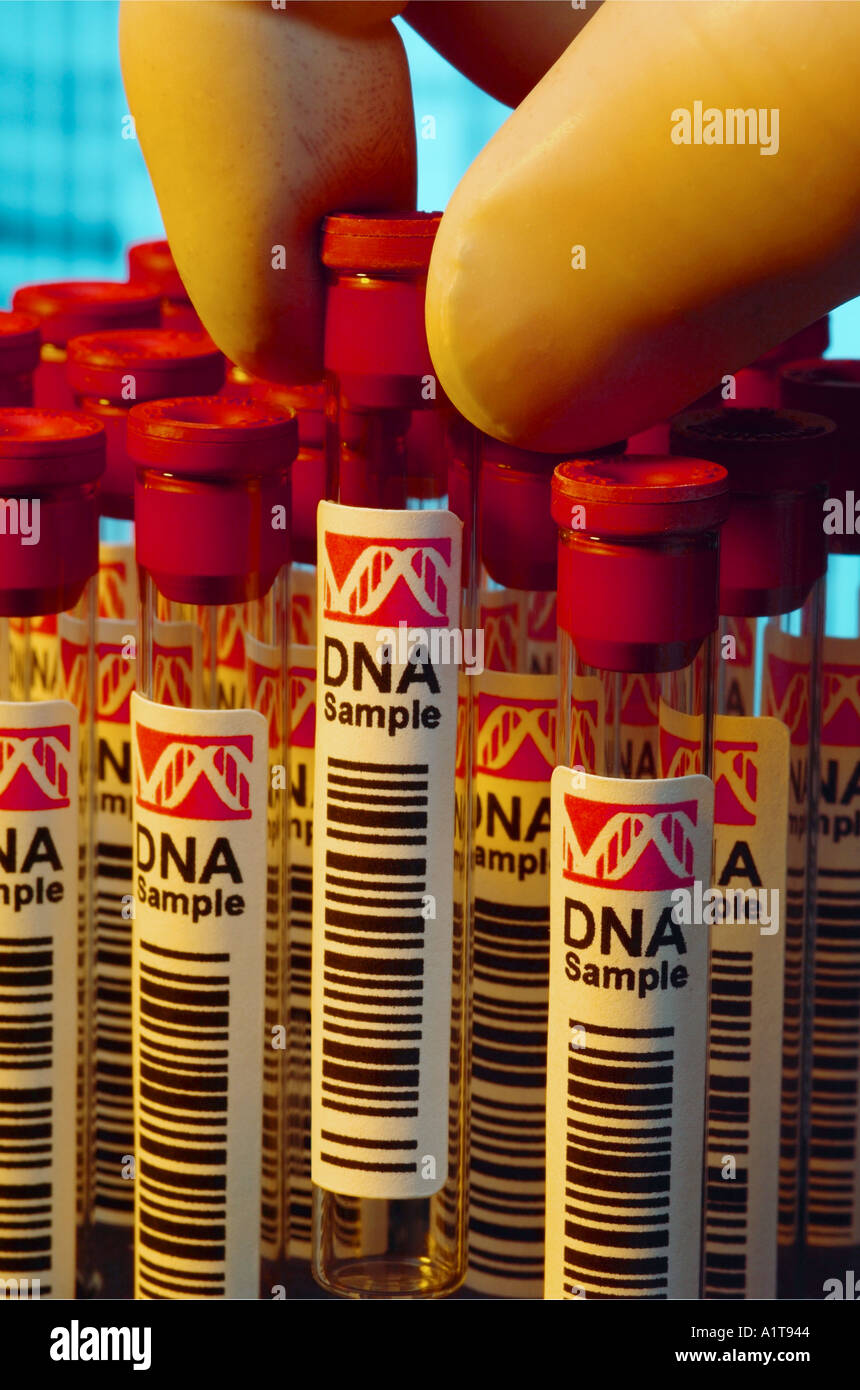 DNA sample vials Stock Photo - Alamy