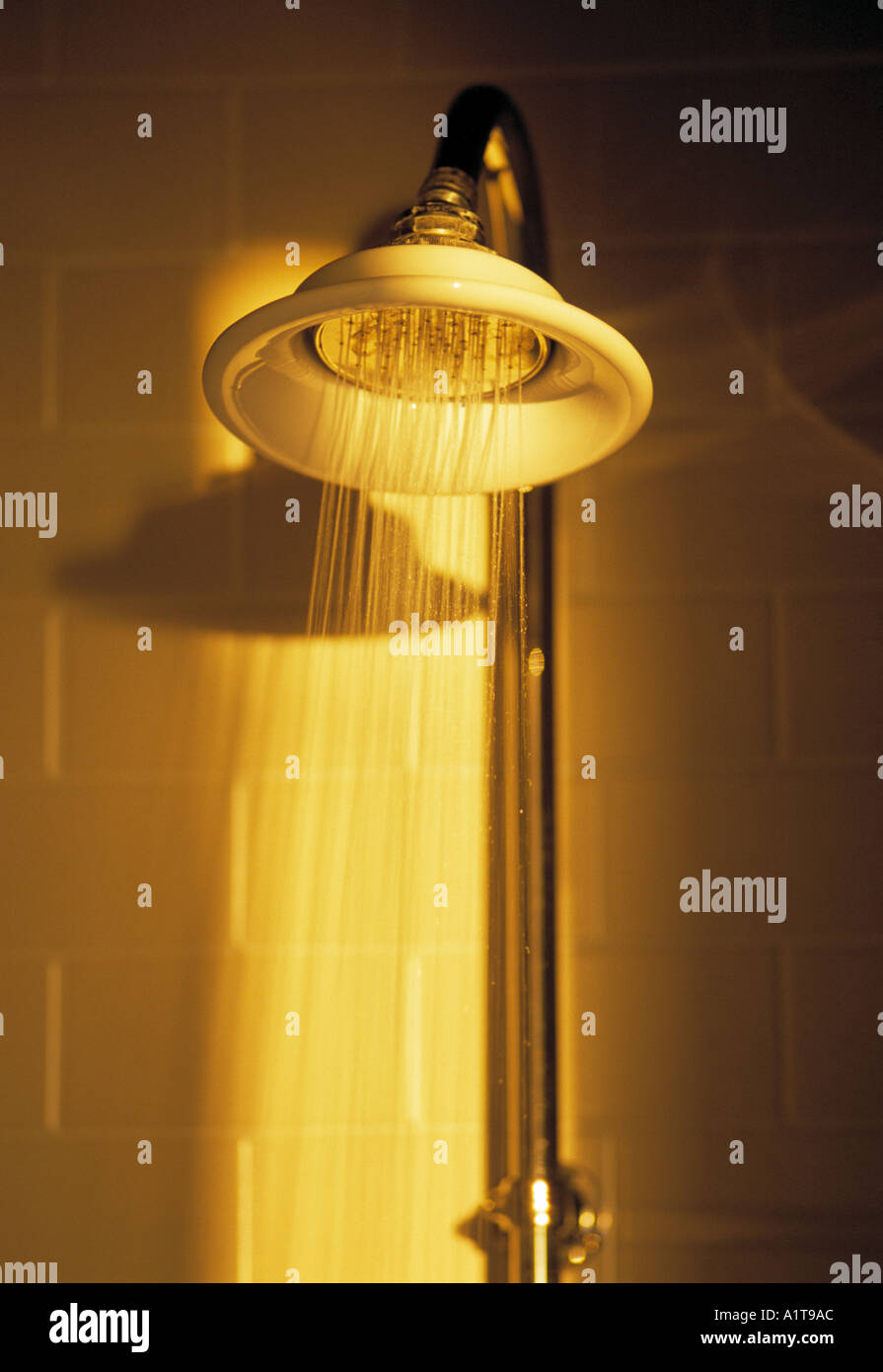 Old style shower head with spray of water Stock Photo - Alamy