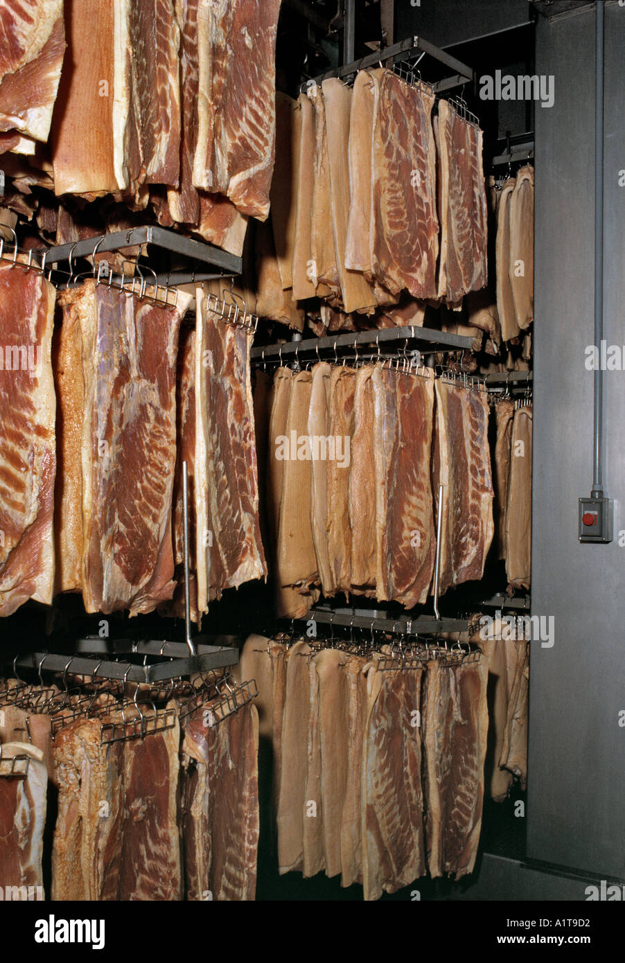 Pig bacon processing rack pork hi-res stock photography and images - Alamy