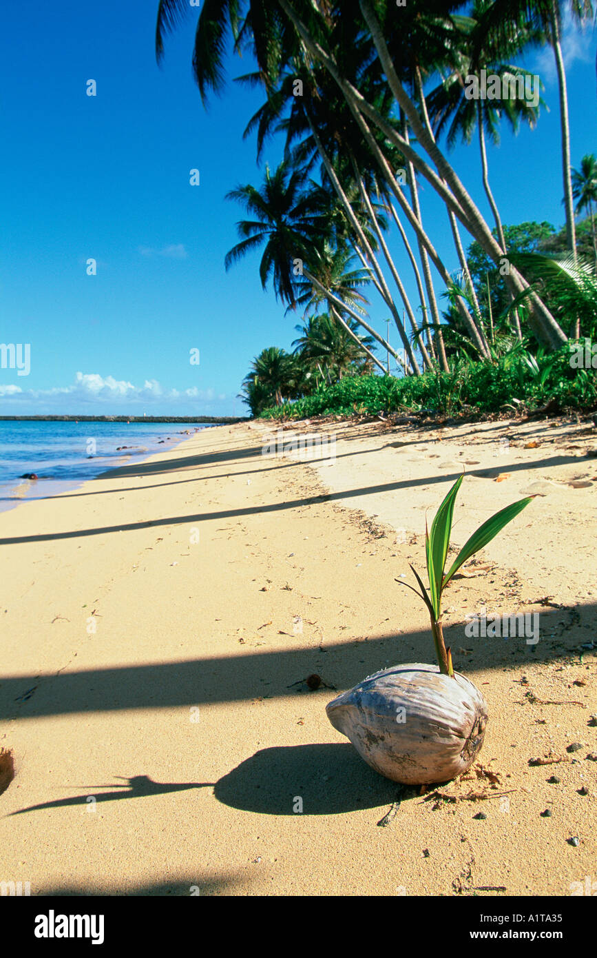 Melekeok hi-res stock photography and images - Alamy