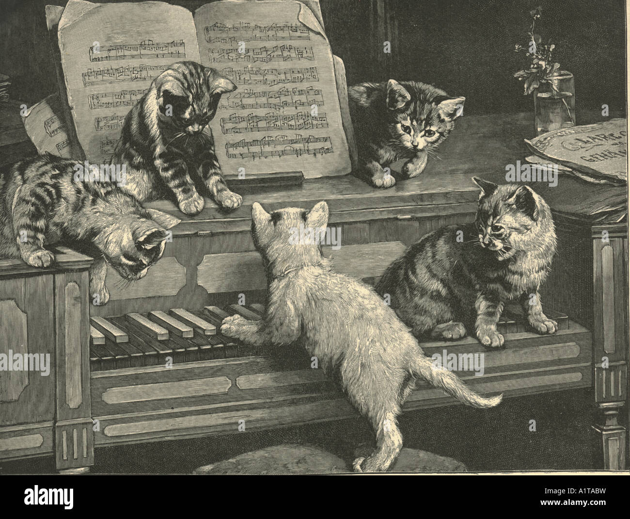 Musical cats circa 1895 Stock Photo - Alamy