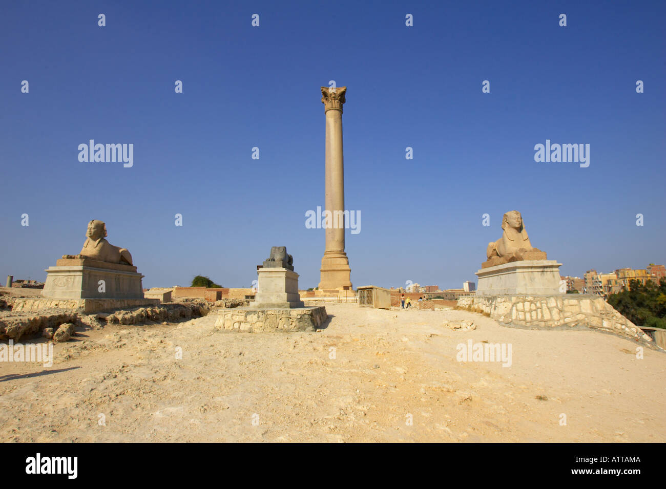 Pompei's Pillar Column Alexandria Egypt Stock Photo - Alamy