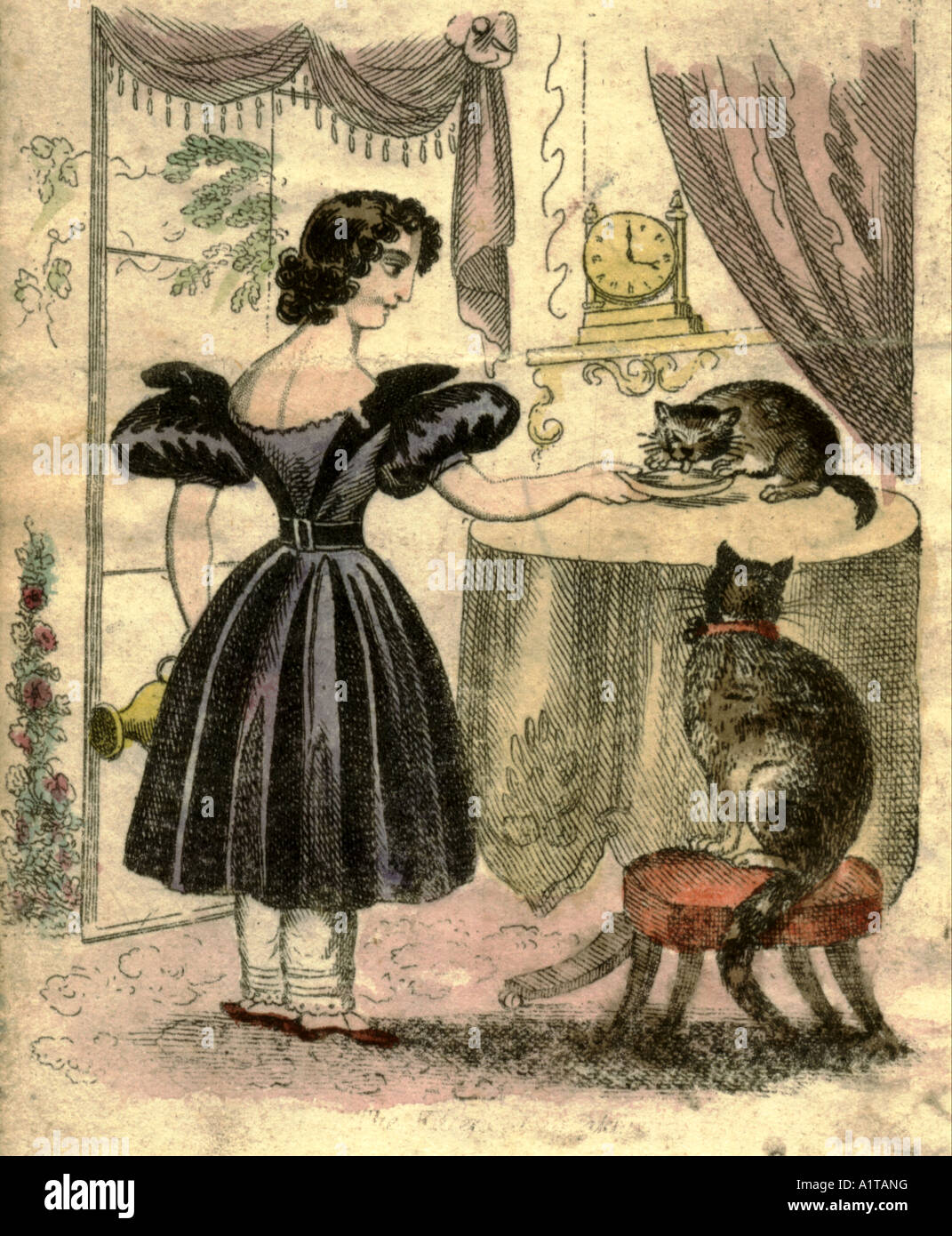 Milk tea pet hi-res stock photography and images - Alamy